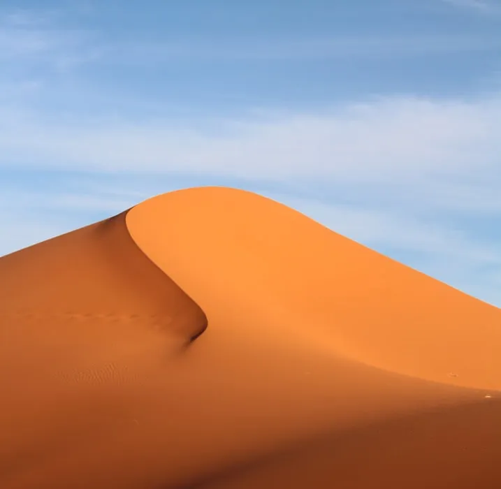 線上商務會議 - Zoom | BNI Affinity